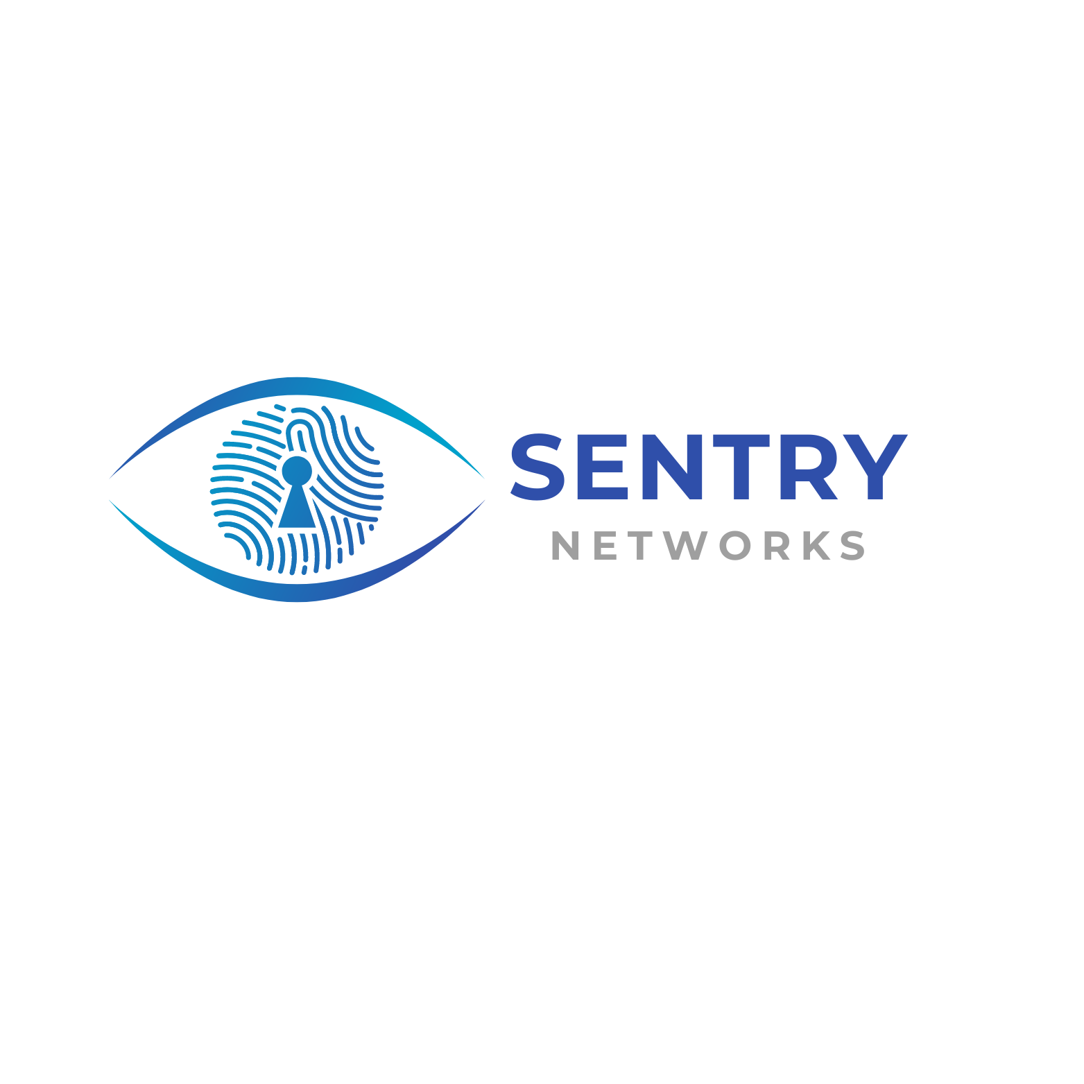 Home - Sentry Networks